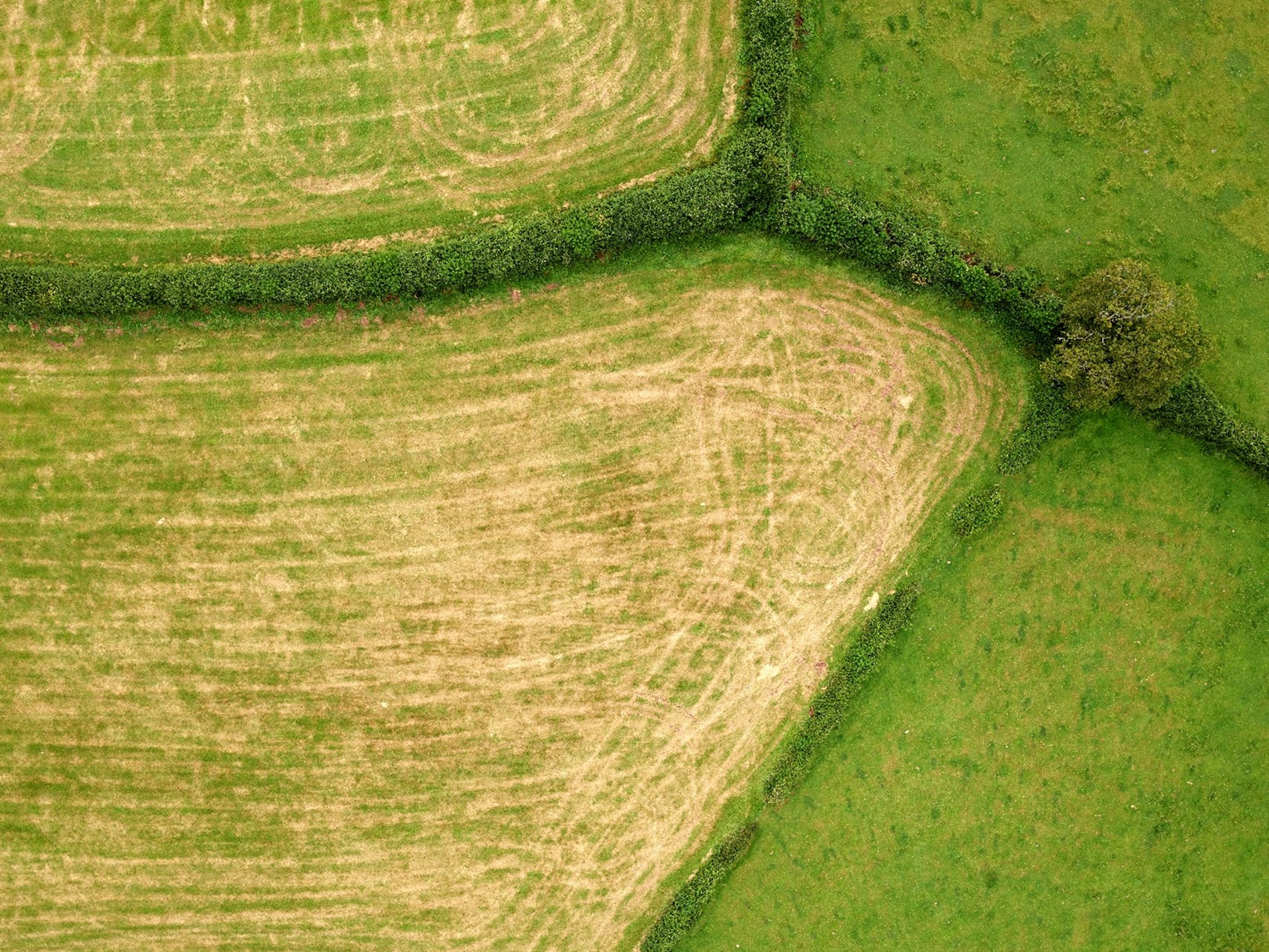 Monitoring Portal - Sight Automation